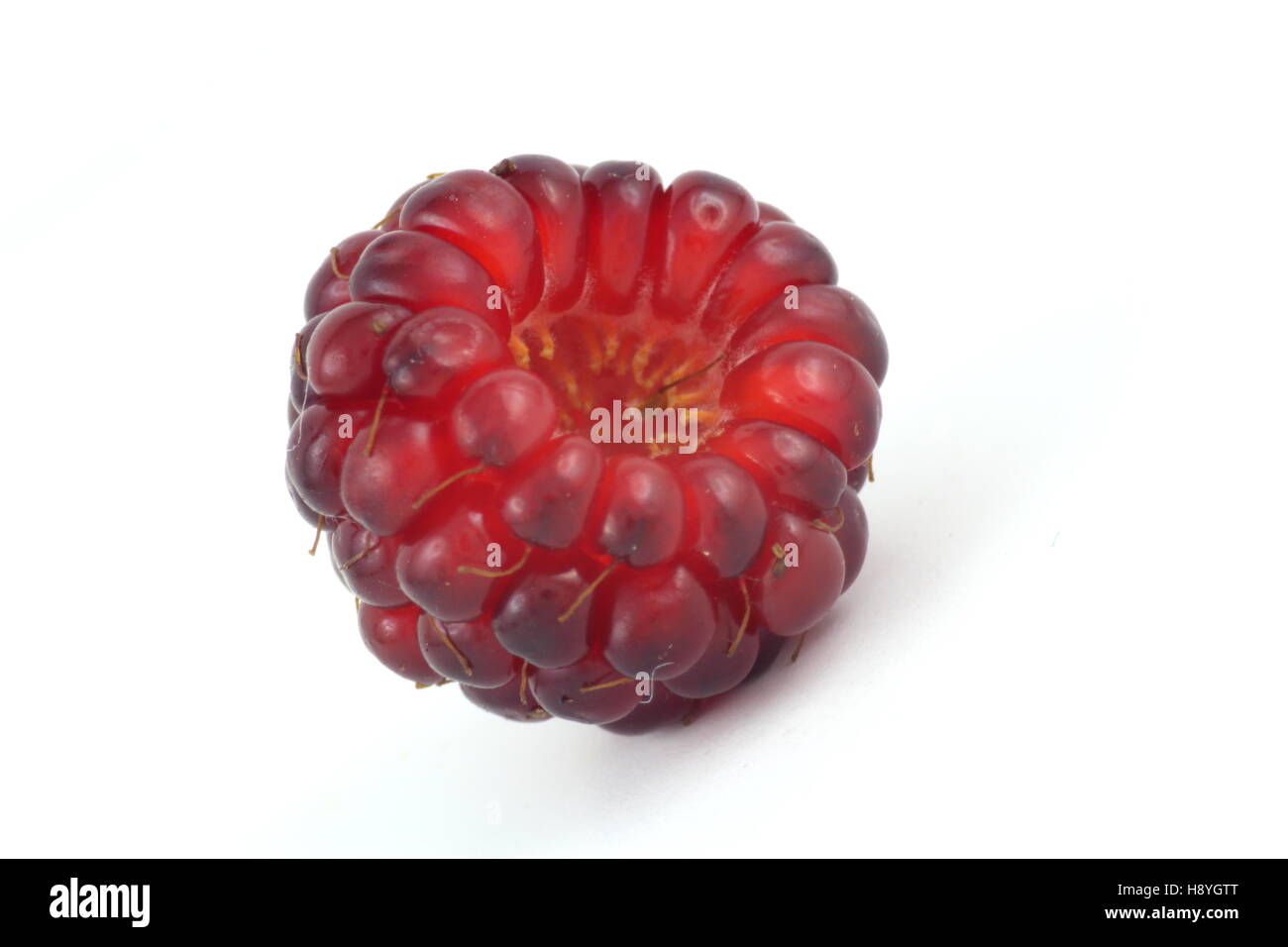 japanese wineberry closeup and isolated Stock Photo - Alamy