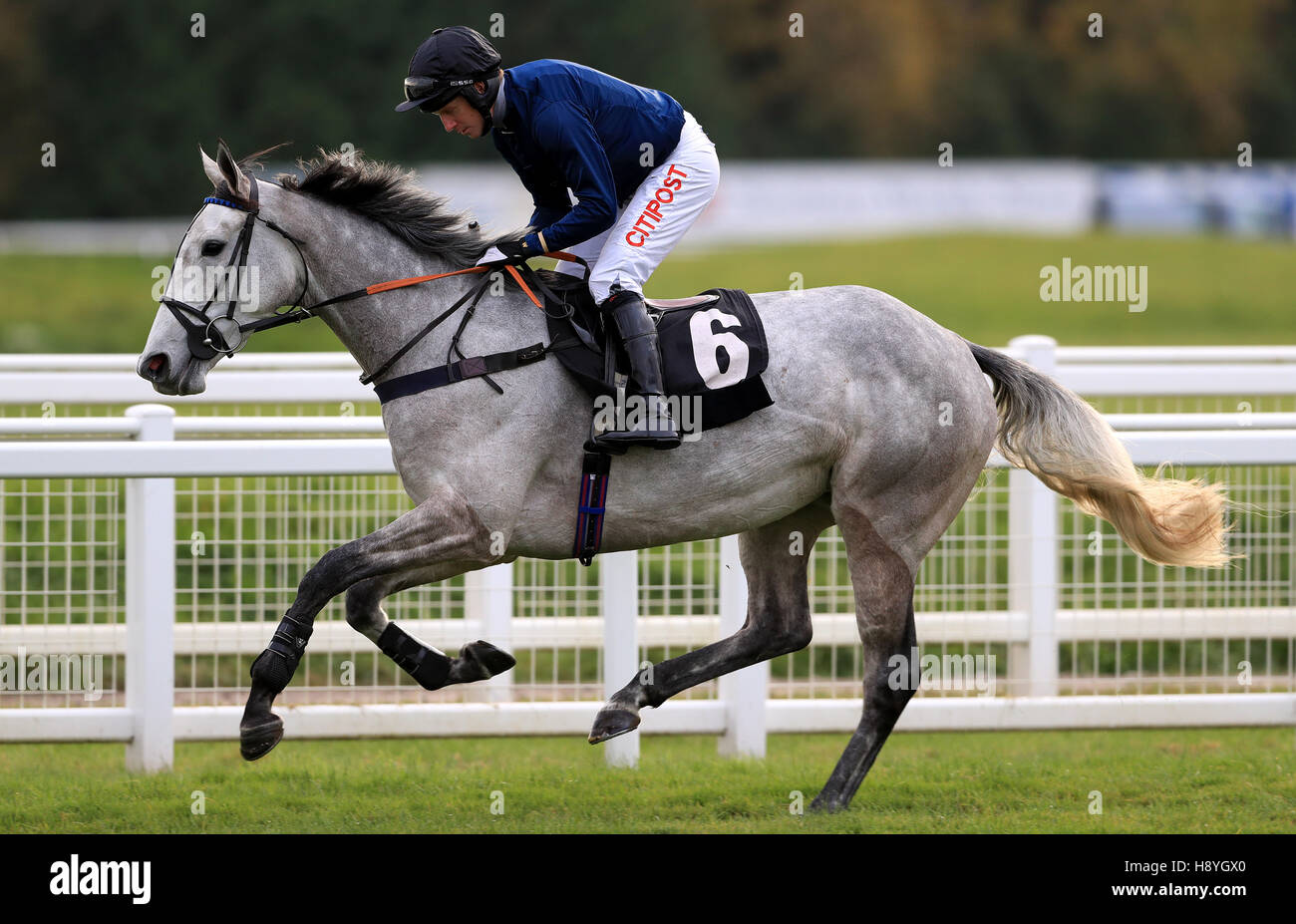 Snow leopardess racing hi-res stock photography and images - Alamy