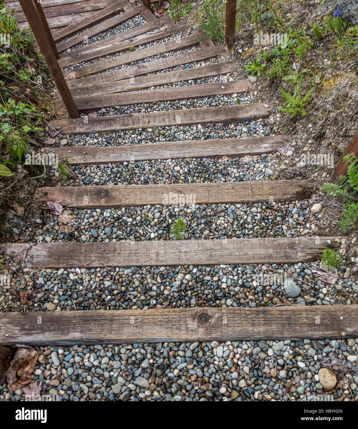 View from above a natural curving stairway made of solid wood planks ...