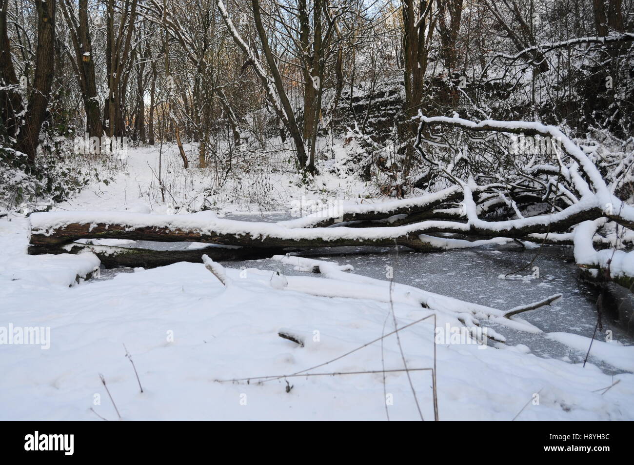 Snow, logs and ice Stock Photo - Alamy