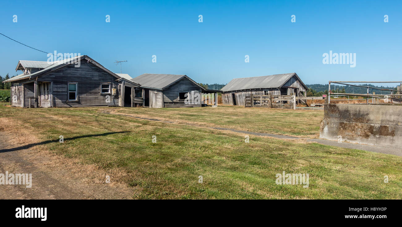 A view of an old gray farm house in Auburn, Washington Stock Photo - Alamy