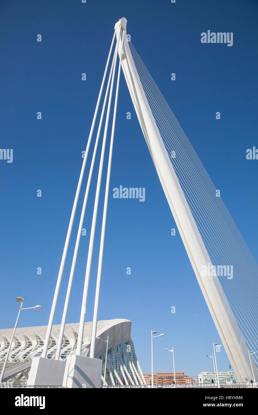 Assut de L'Or Bridge; City of Arts and Science, Valencia Stock Photo ...