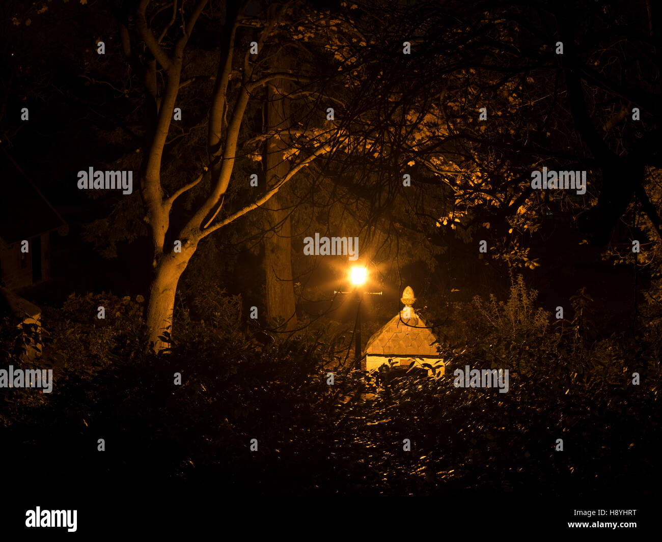 Chalybeate water hi-res stock photography and images - Alamy