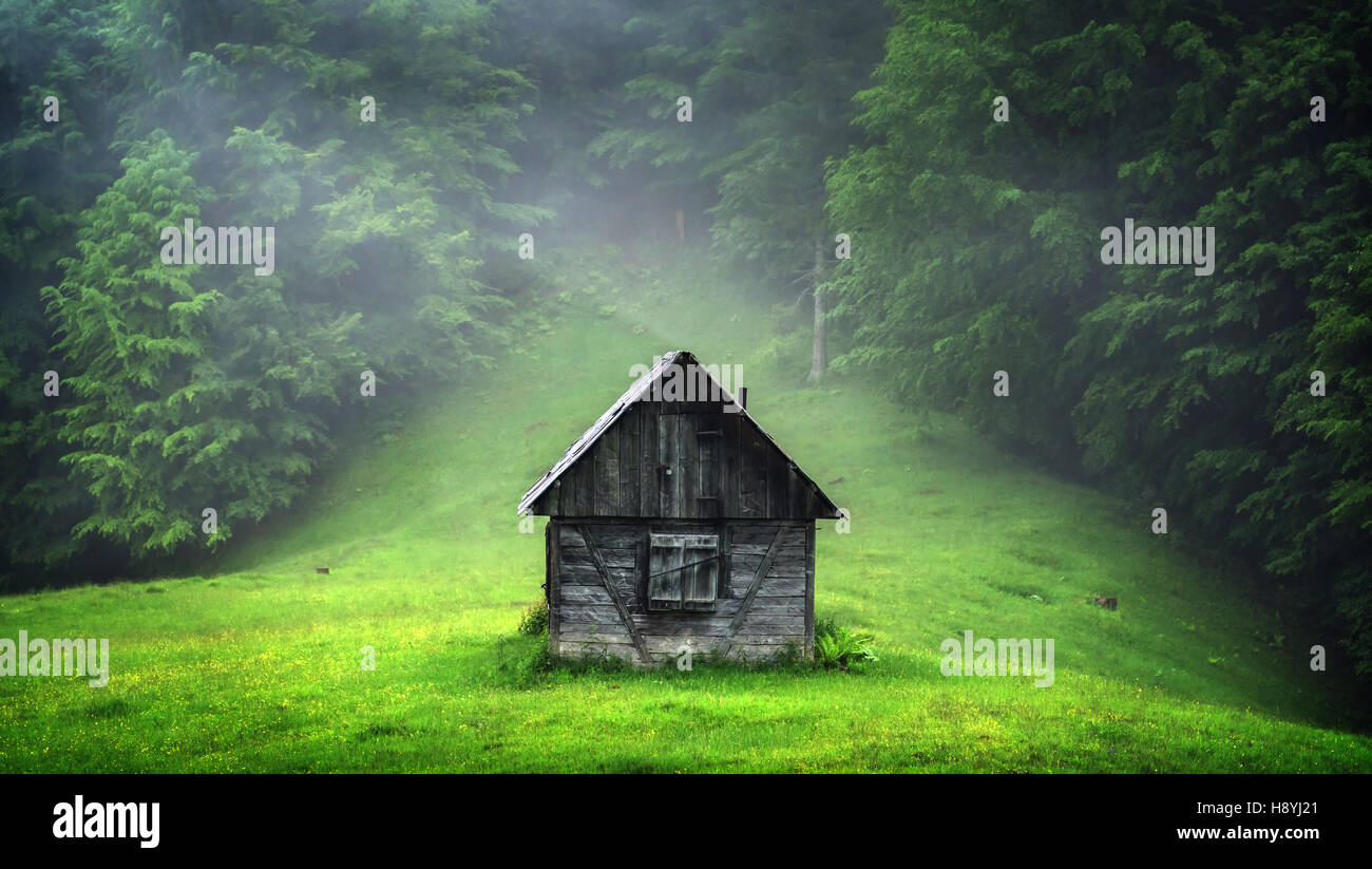 alone cabin in the woods Stock Photo - Alamy