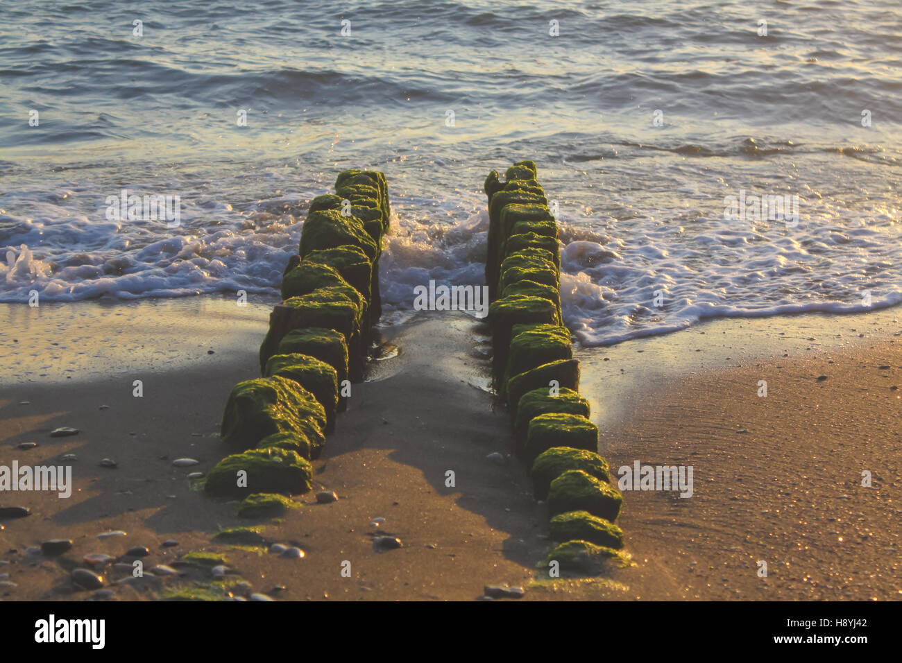 Poles row from an old pier in winter beach Stock Photo - Alamy