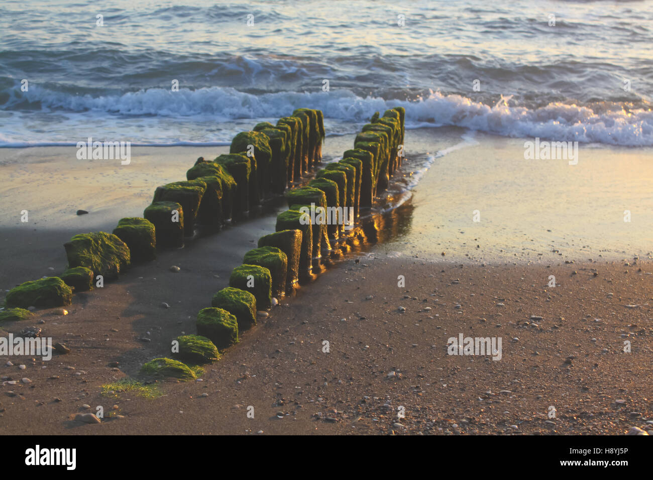 Poles row from an old pier in winter beach ((blurred romantic style ...