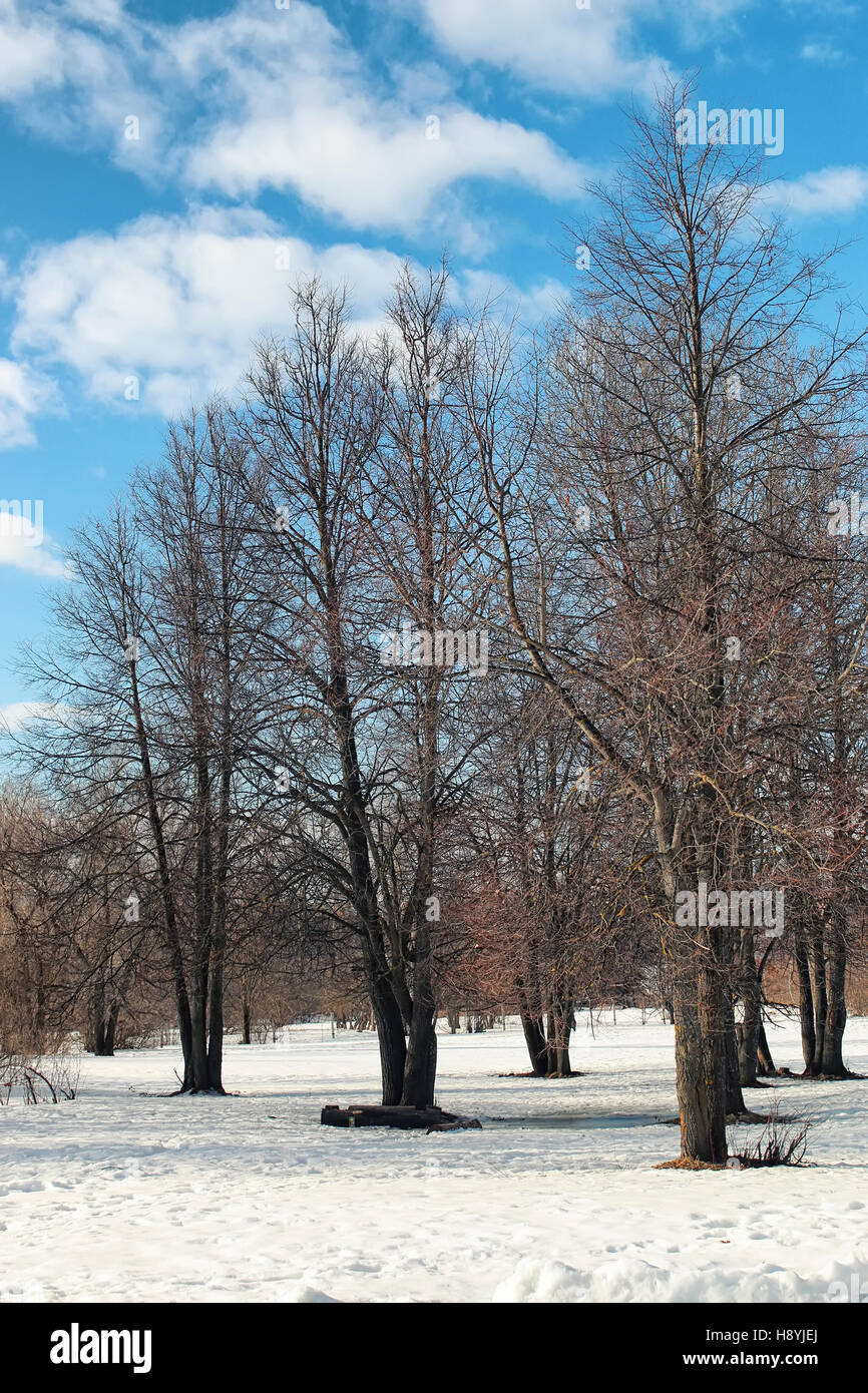 thaw snow lanscape tree Stock Photo - Alamy