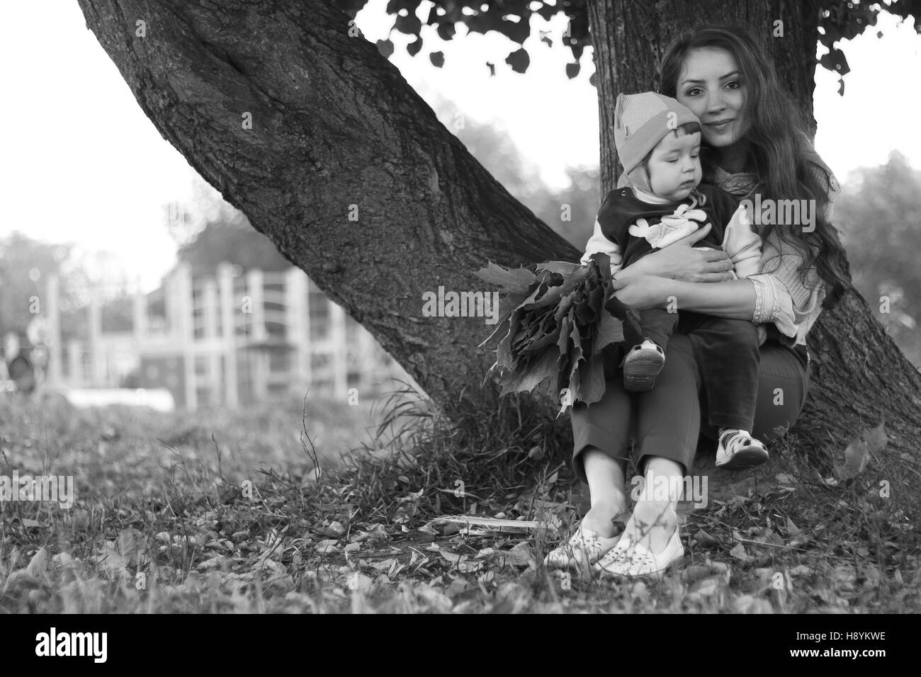 Pretty autumn leaves Black and White Stock Photos & Images - Alamy