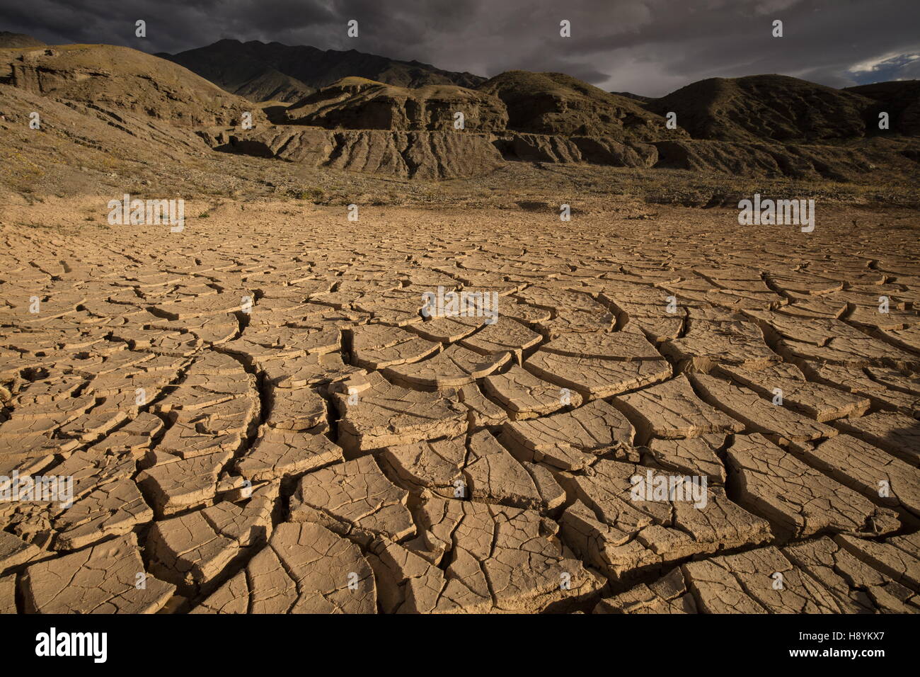 Mud cracking in drying lake after heavy rain in Death Valley ...