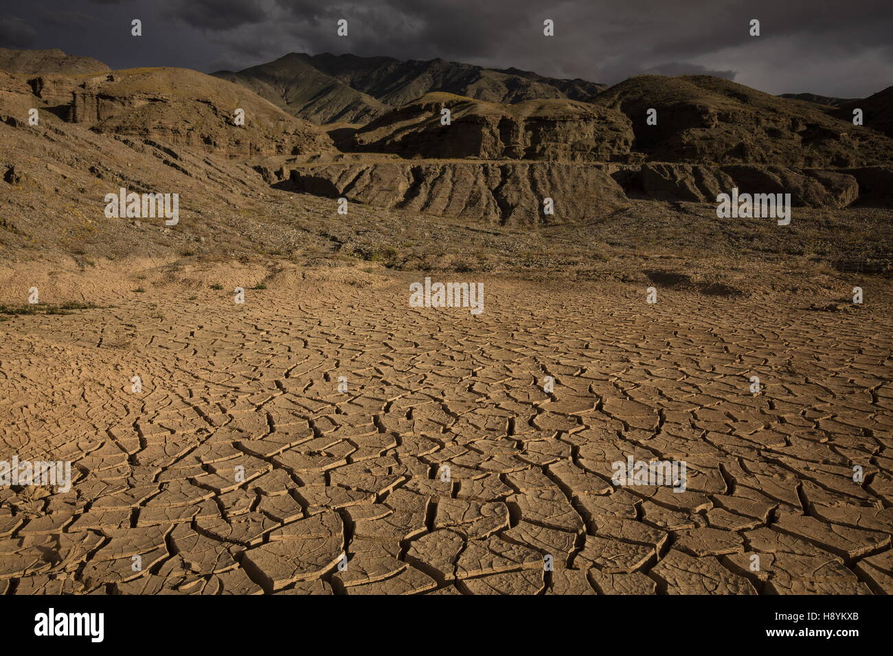 Mud cracking in drying lake after heavy rain in Death Valley ...