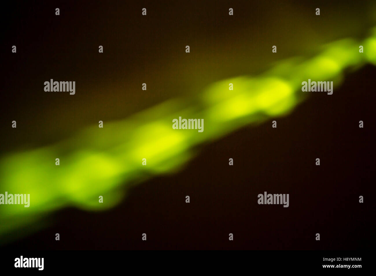 Green overlay background of green lights with bokeh effect. Includes ...