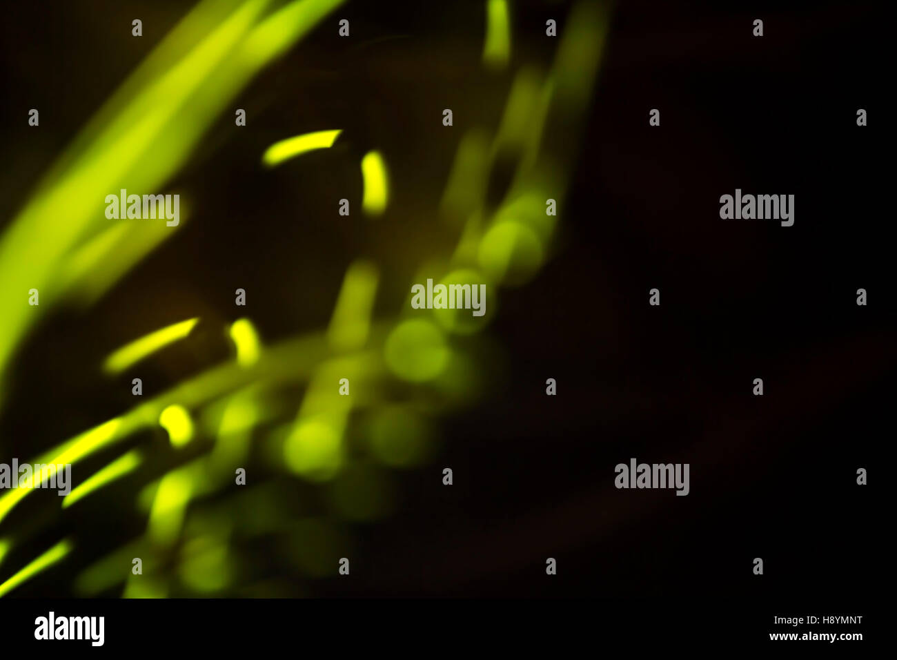 Green overlay background of green lights with bokeh effect. Includes ...