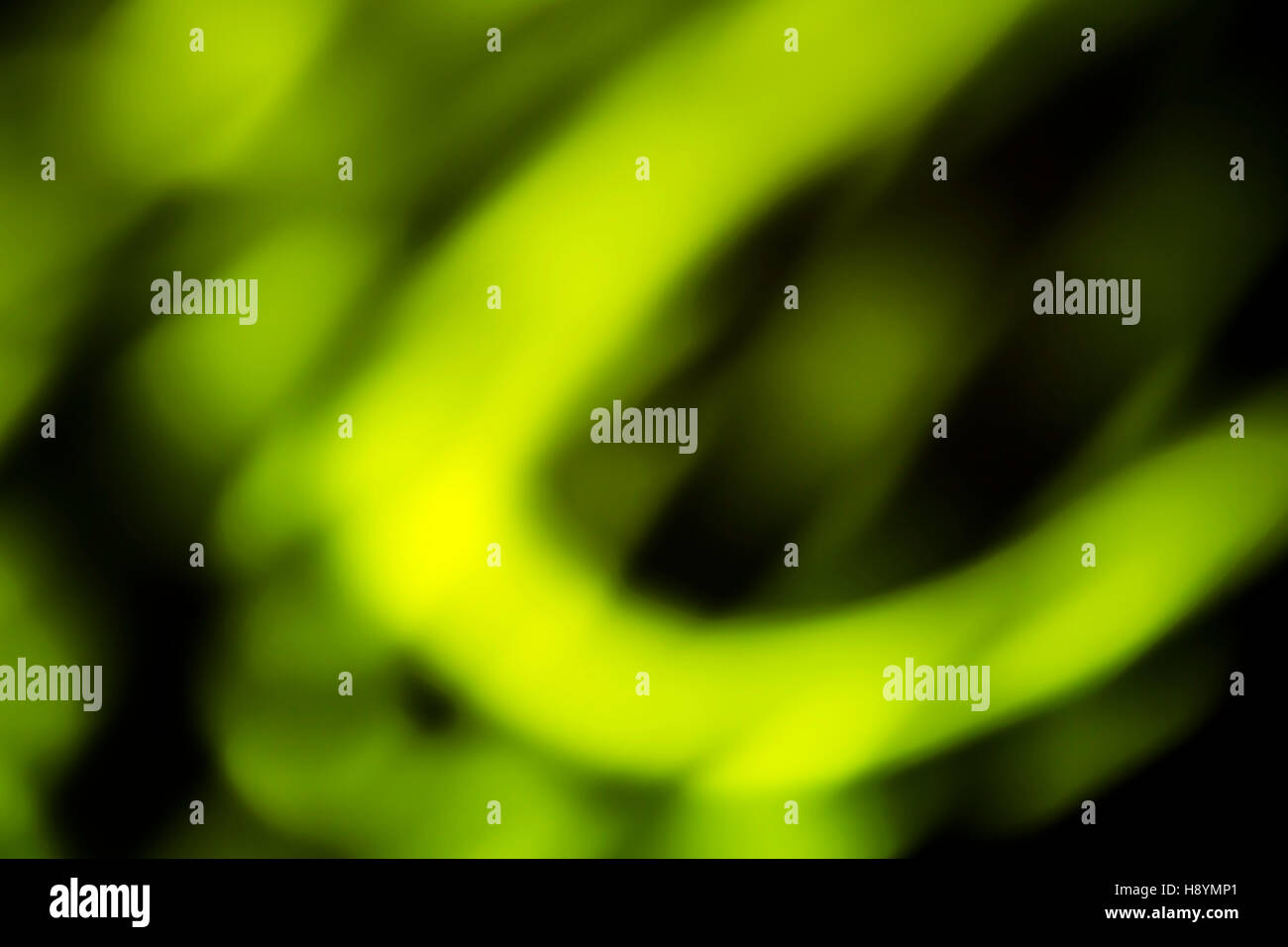 Green overlay background of green lights with bokeh effect. Includes ...