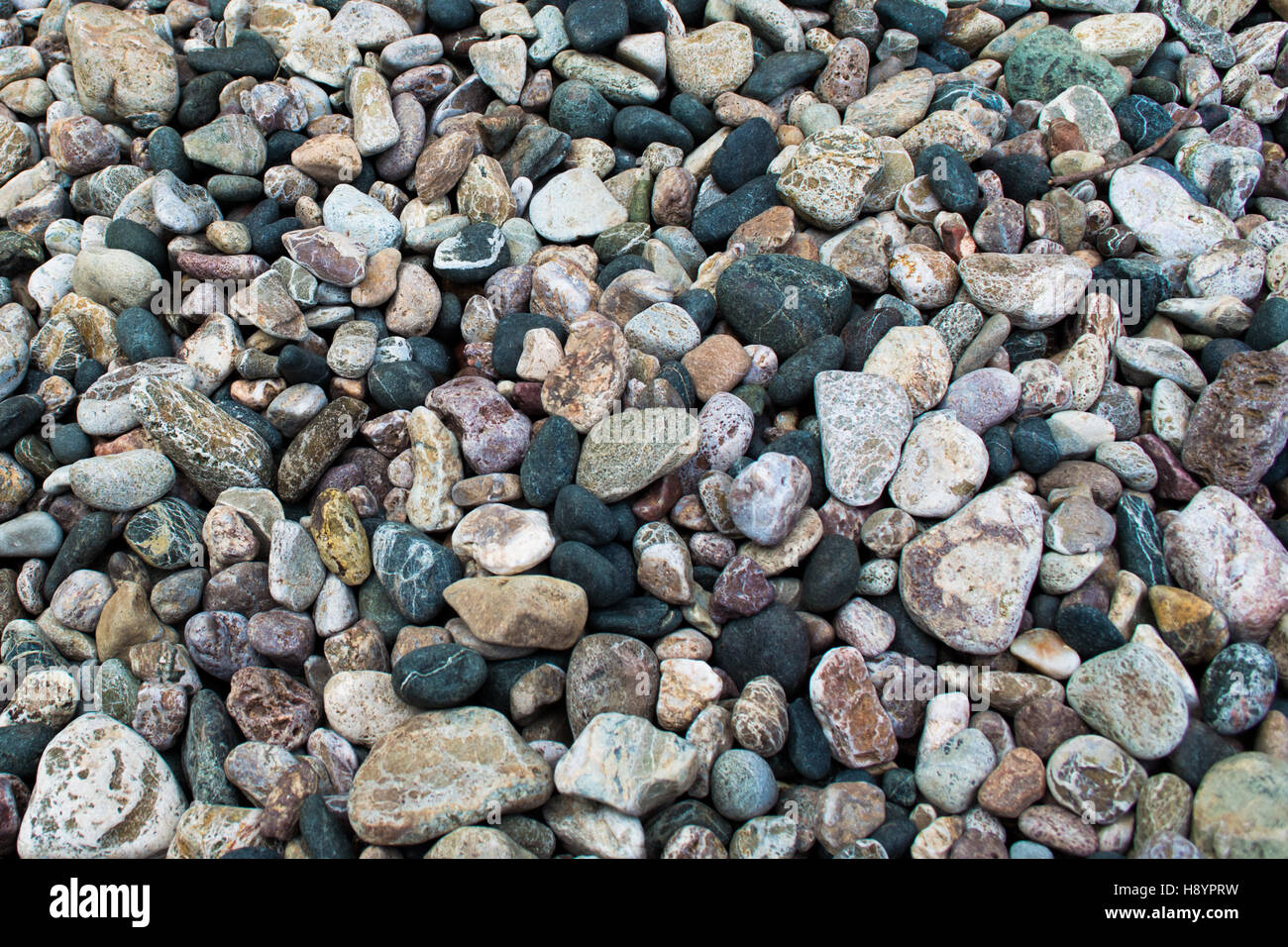 Gravel stones pebbles as ground cover hi-res stock photography and ...