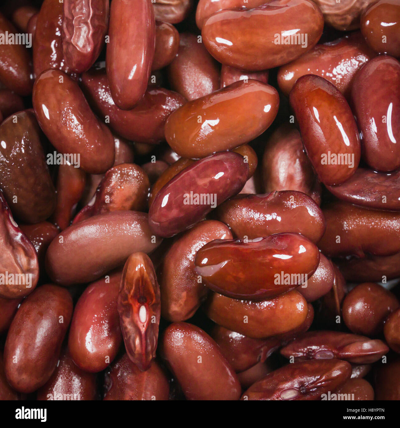 azuki beans or red beans in flat for texture background uses Stock ...