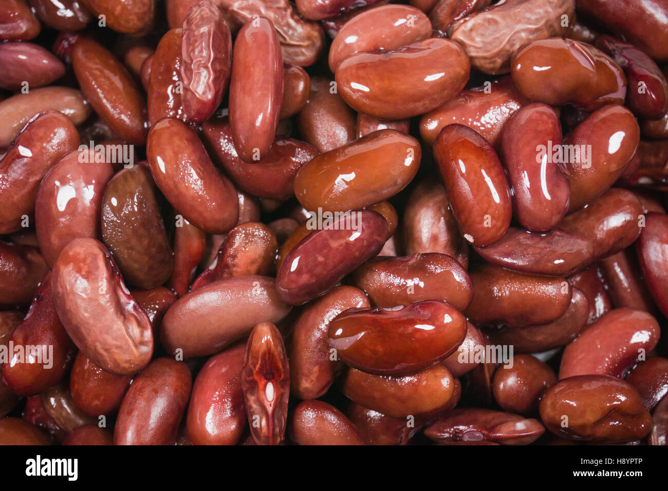 azuki beans or red beans in flat for texture background uses Stock ...