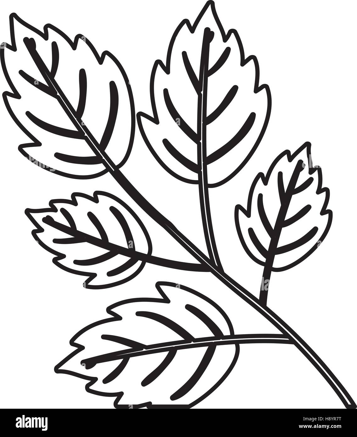 Leaf icon. Decoration rustic garden floral nature plant and spring ...