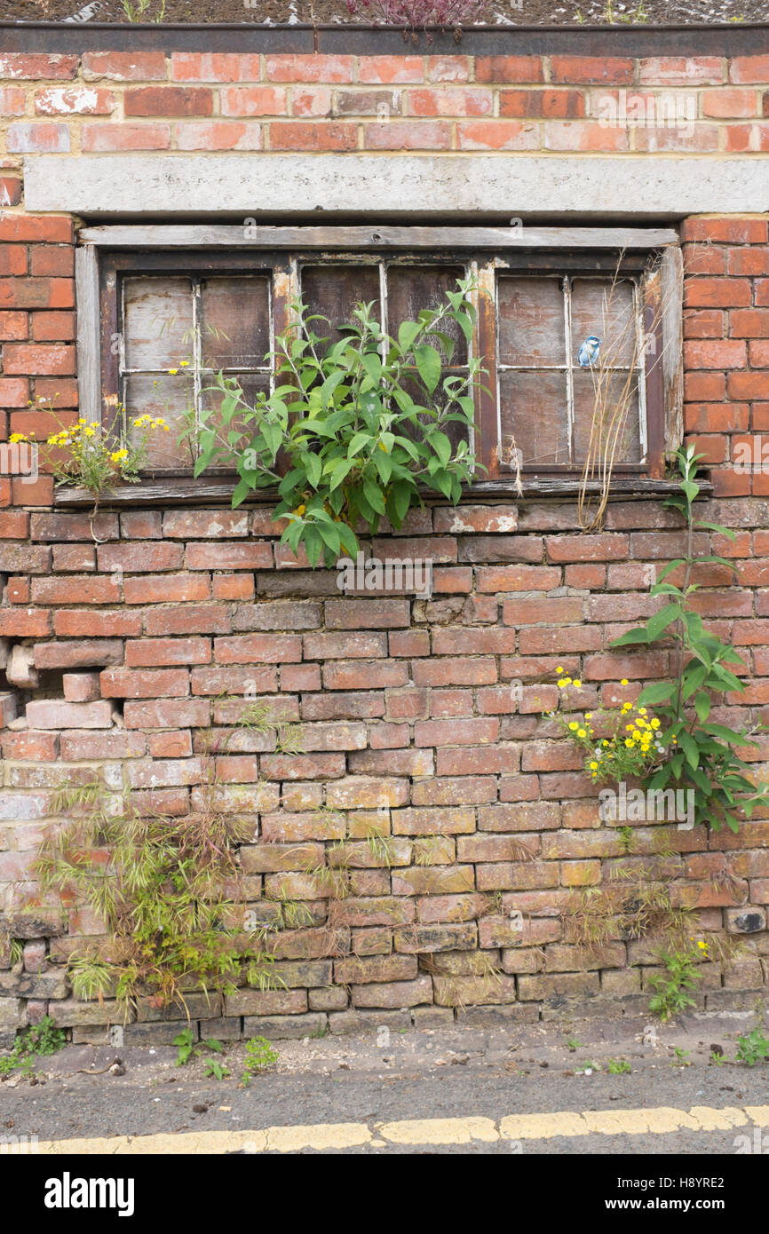 Derelict building in Gloucester,England Stock Photo - Alamy