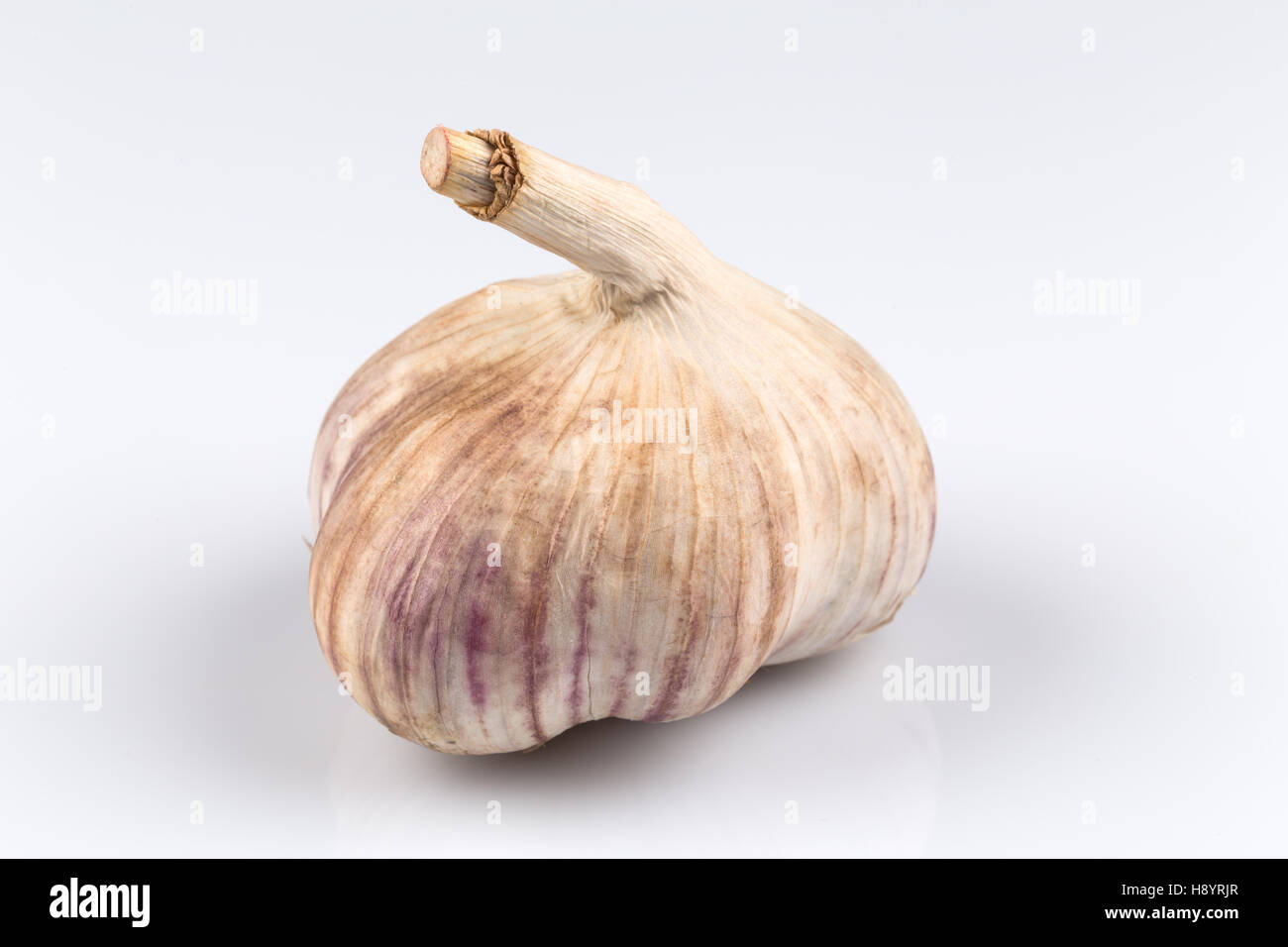 Garlic bulb closeup isolated on white background Stock Photo - Alamy