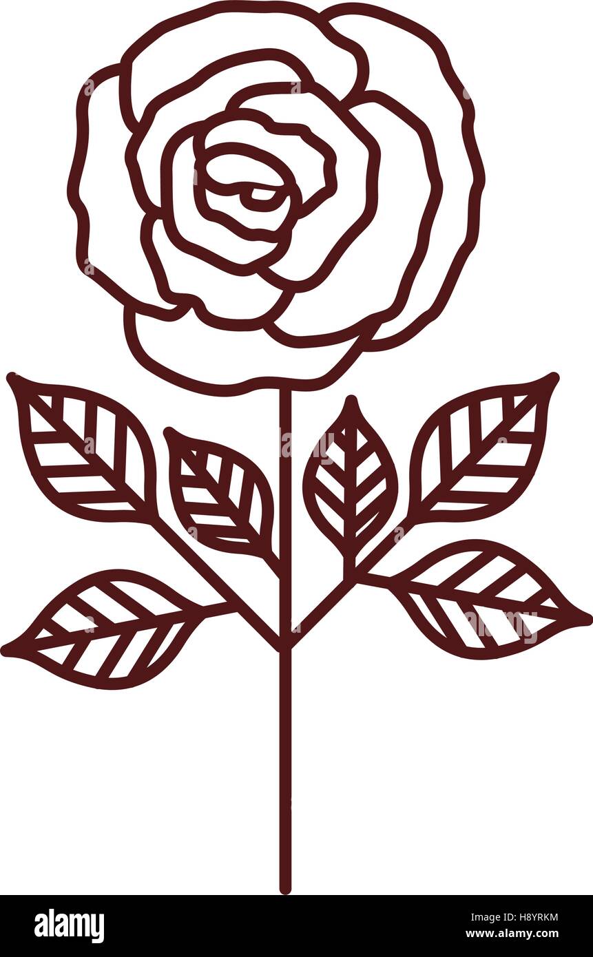 Rose flower icon. Decoration rustic garden floral nature plant and ...