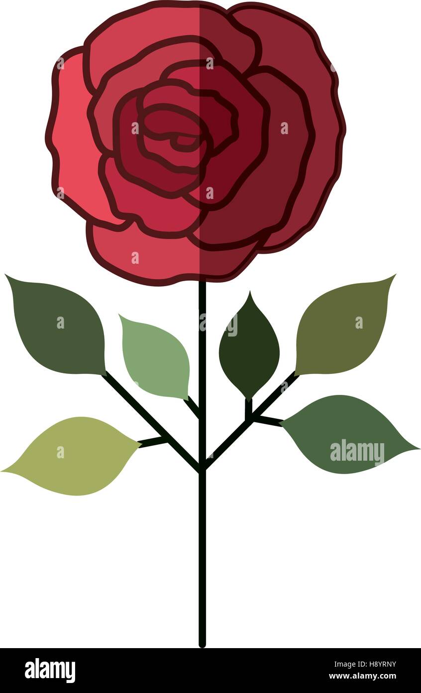 Rose flower icon. Decoration rustic garden floral nature plant and ...