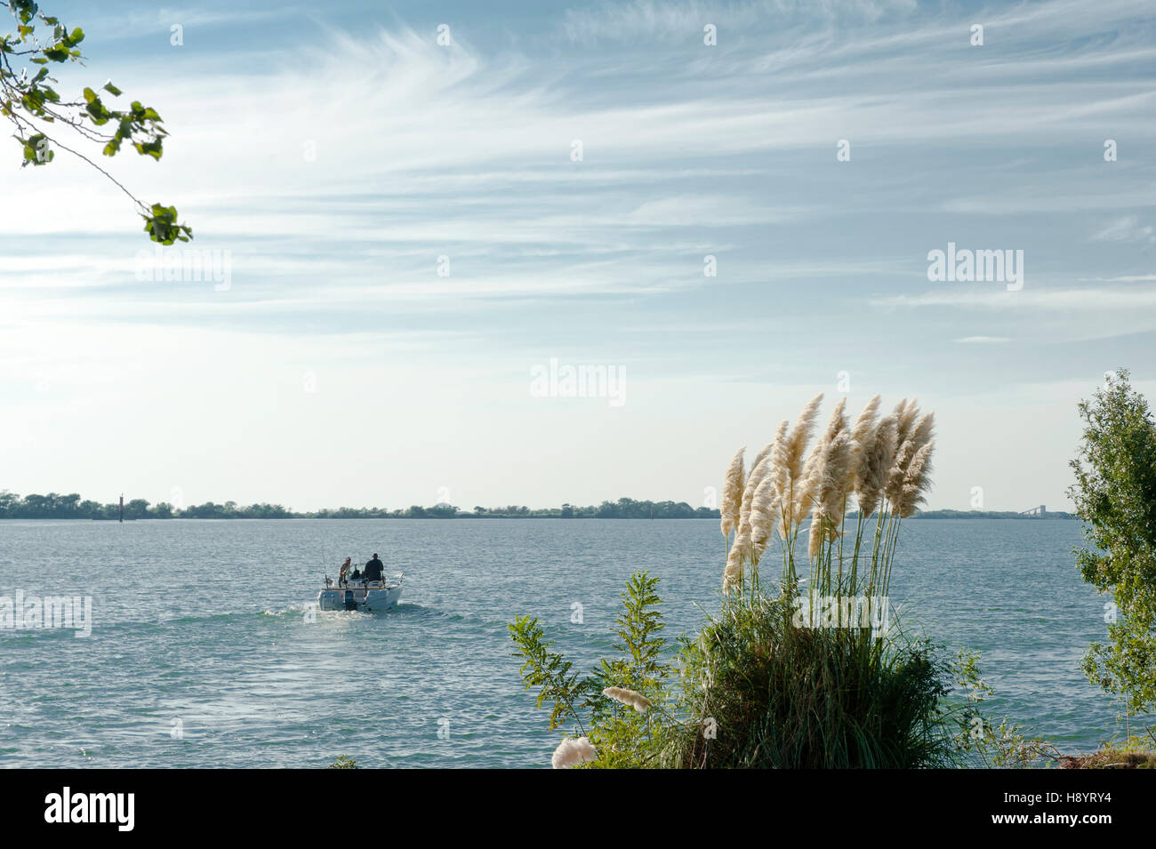The rhône estuary in the camargue hi-res stock photography and images ...
