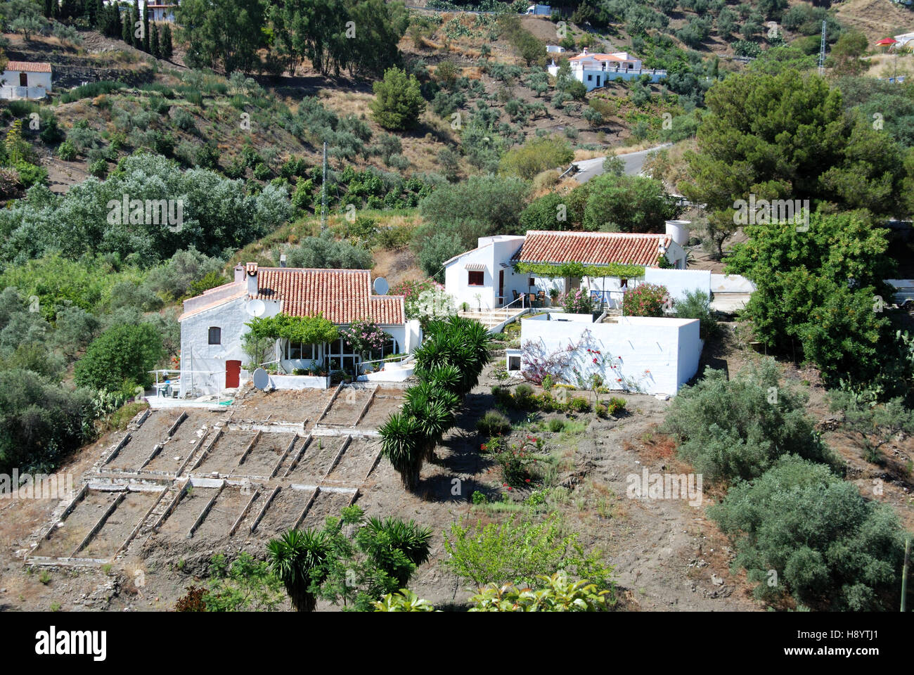 Country fincas in a valley between Torrox and Competa, Malaga Province ...
