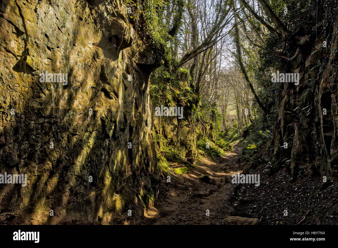 Ancient Sunken Lane - Hell Lane, from North Chideock to Symondsbury ...