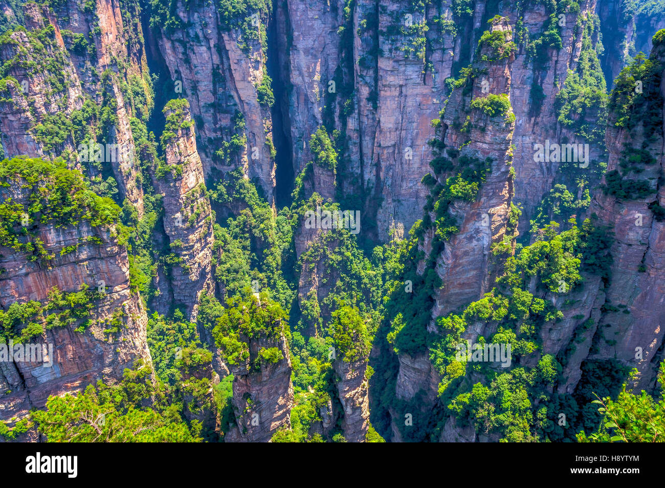 View over tall sandstone columns and formations in Zhangjiajie national ...