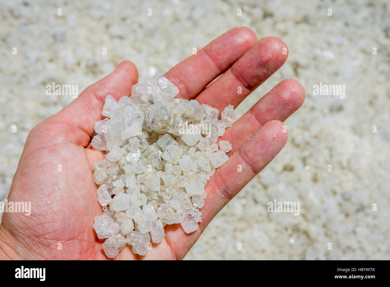 Holding big salt crystals in hand at Chaqia salt lake Stock Photo - Alamy