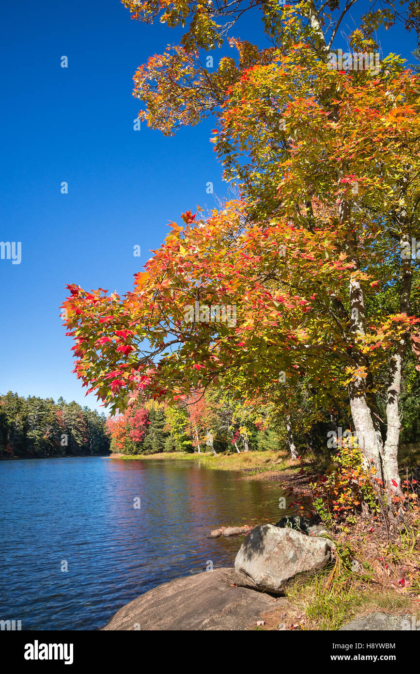 Autumn trees by a lake hi-res stock photography and images - Alamy