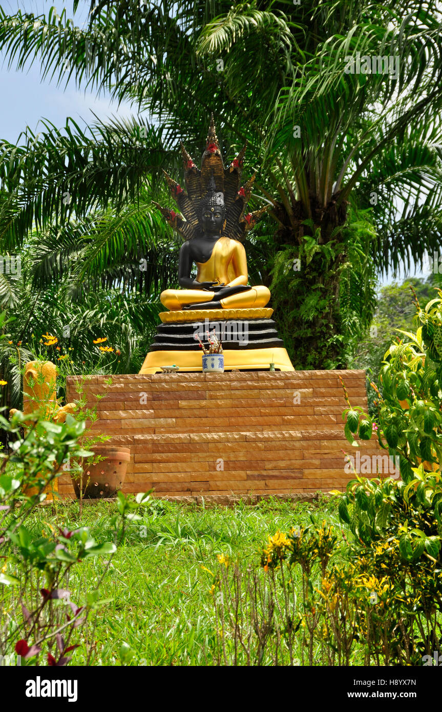 Buddhist Icon near Thai Muang Stock Photo - Alamy