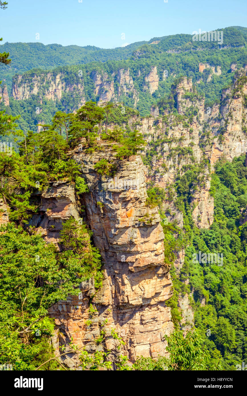 View over tall sandstone columns and formations in Zhangjiajie national ...