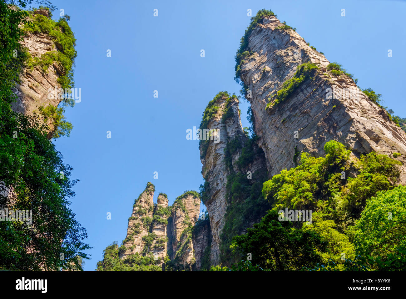 View over tall sandstone columns and formations in Zhangjiajie national ...