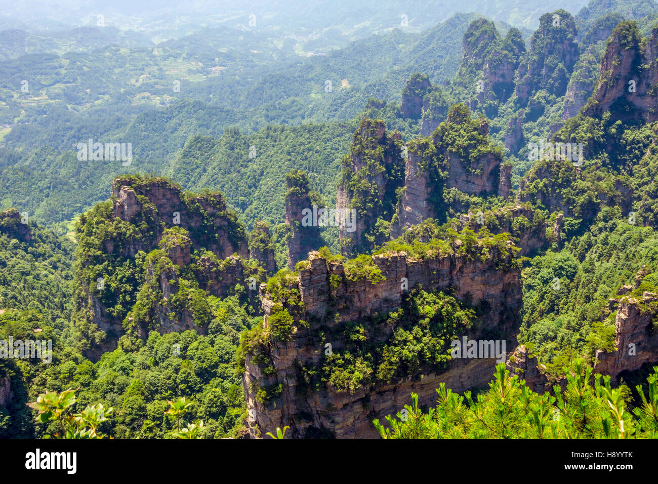 View over tall sandstone columns and formations in Zhangjiajie national ...
