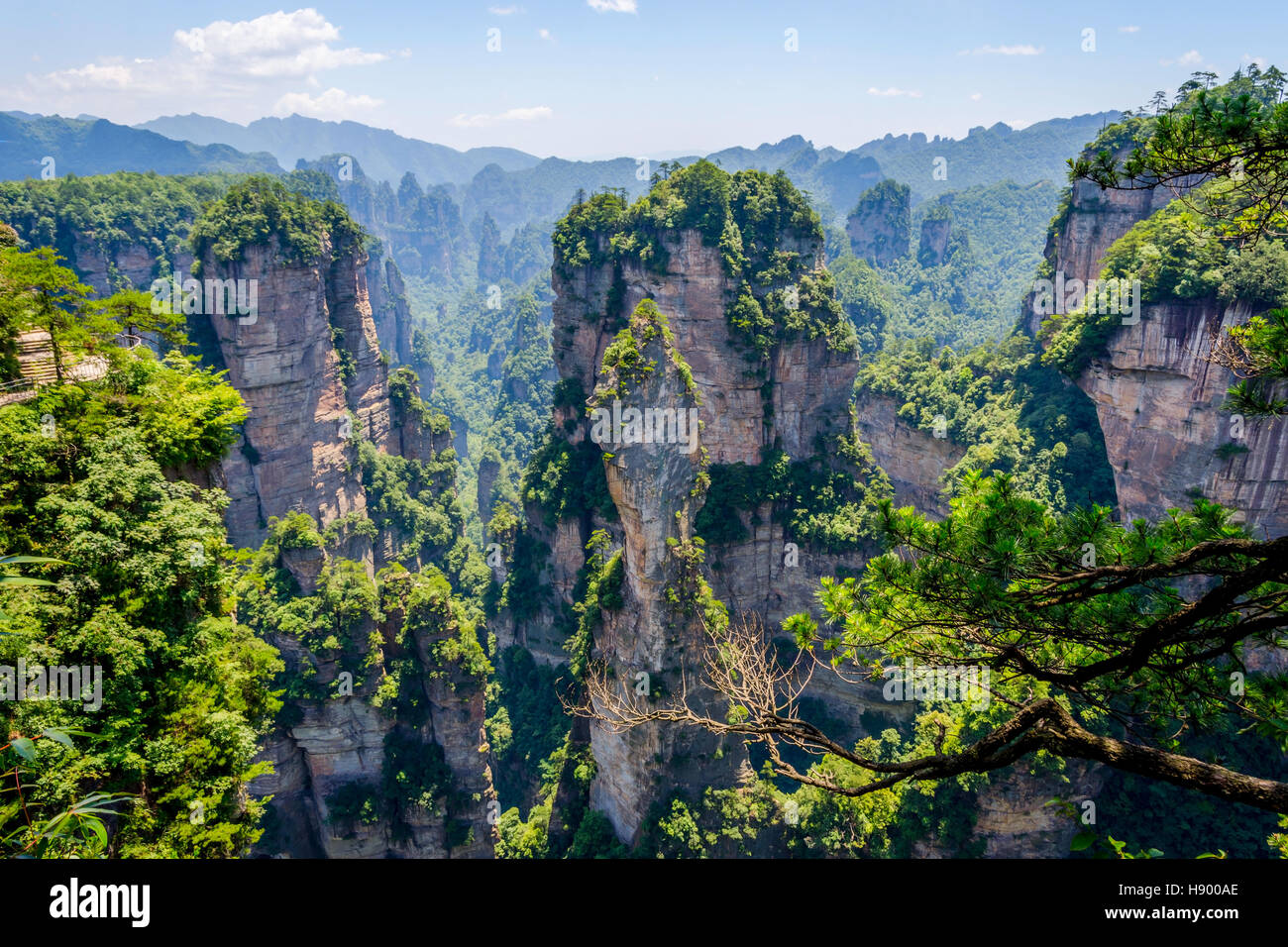 View over tall sandstone columns and formations in Zhangjiajie national ...