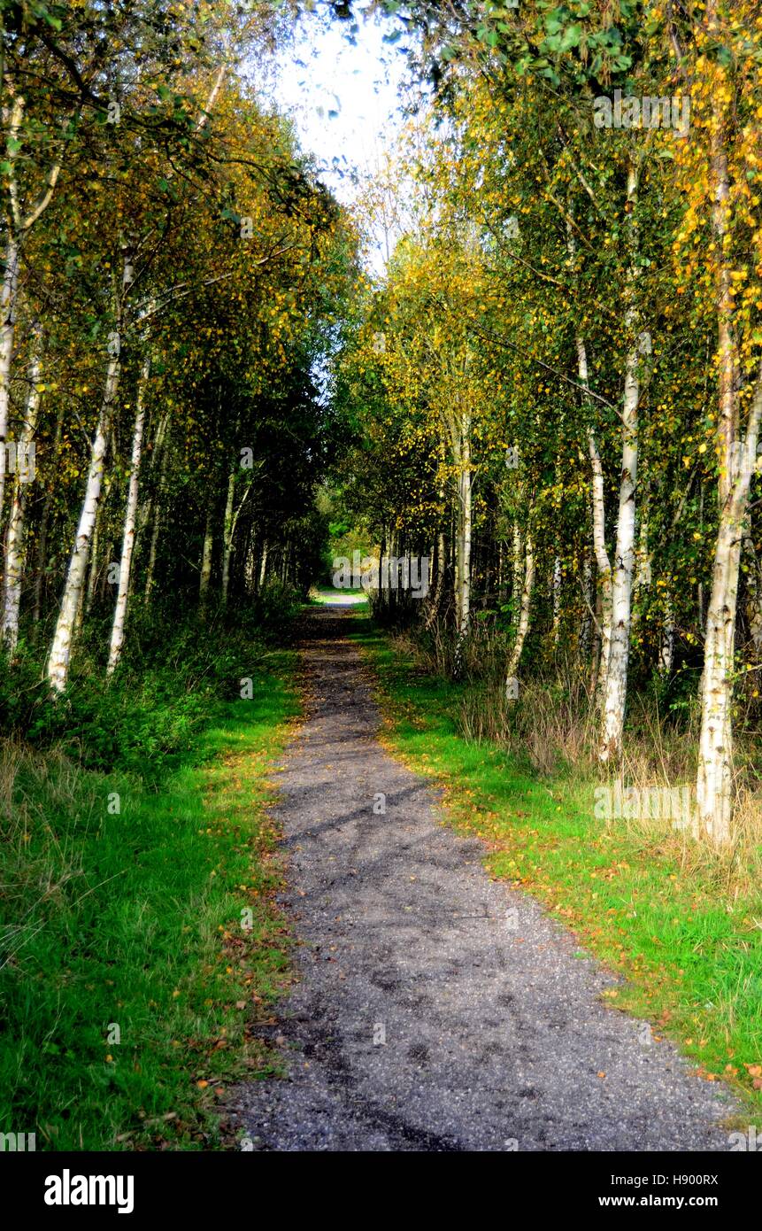 Wooded Lane Stock Photos & Wooded Lane Stock Images - Alamy