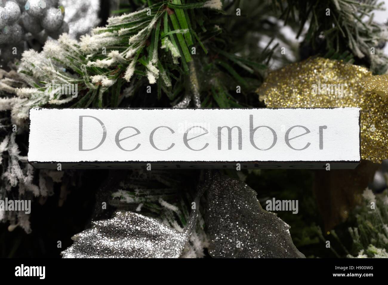 December Christmas tree Stock Photo - Alamy