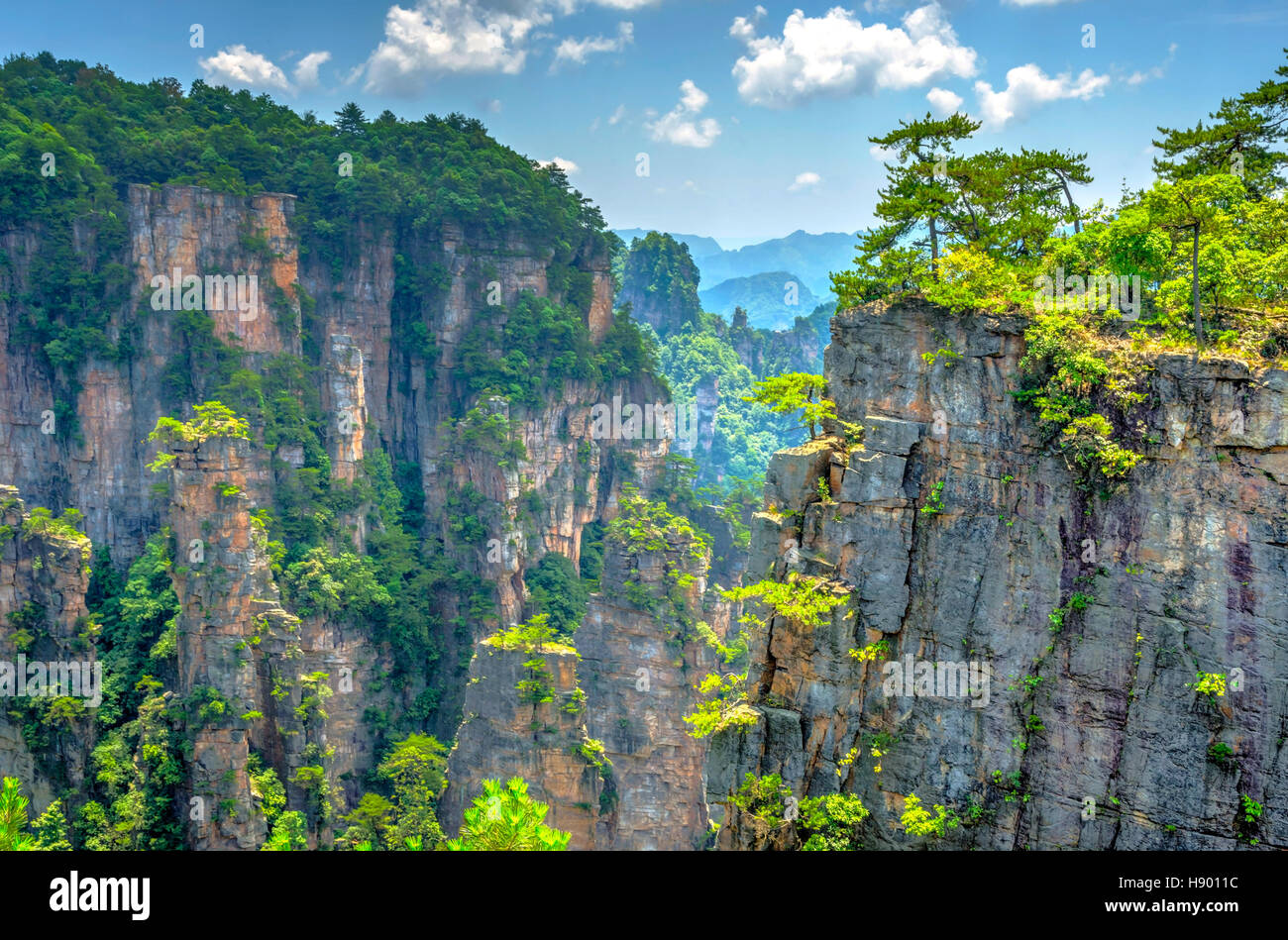 View over tall sandstone columns and formations in Zhangjiajie national ...