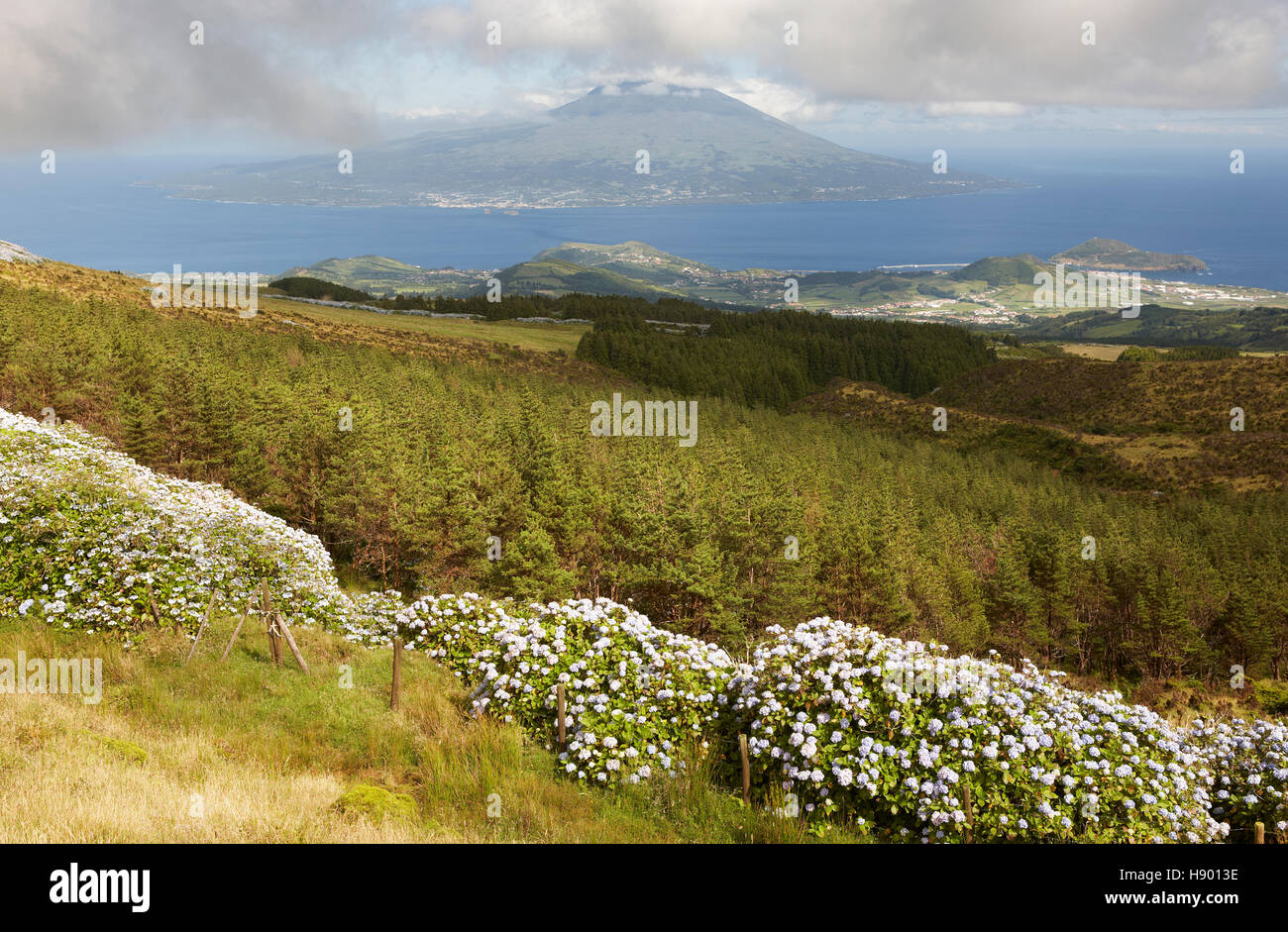 Panoramic view from Faial caldeira. Pico island in Azores archipelago ...