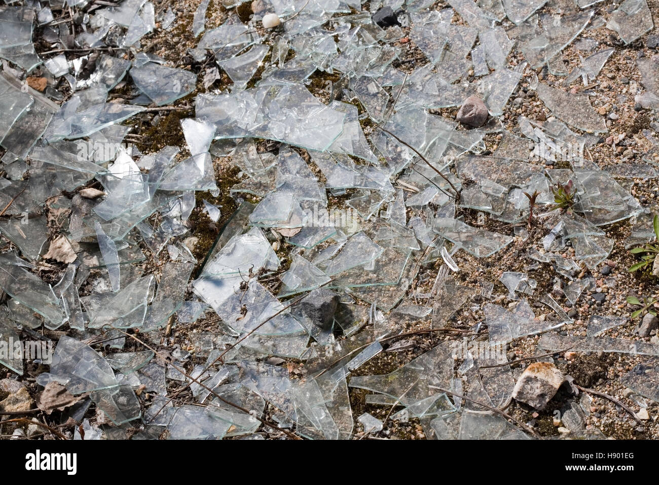 Broken glass on ground hi-res stock photography and images - Alamy