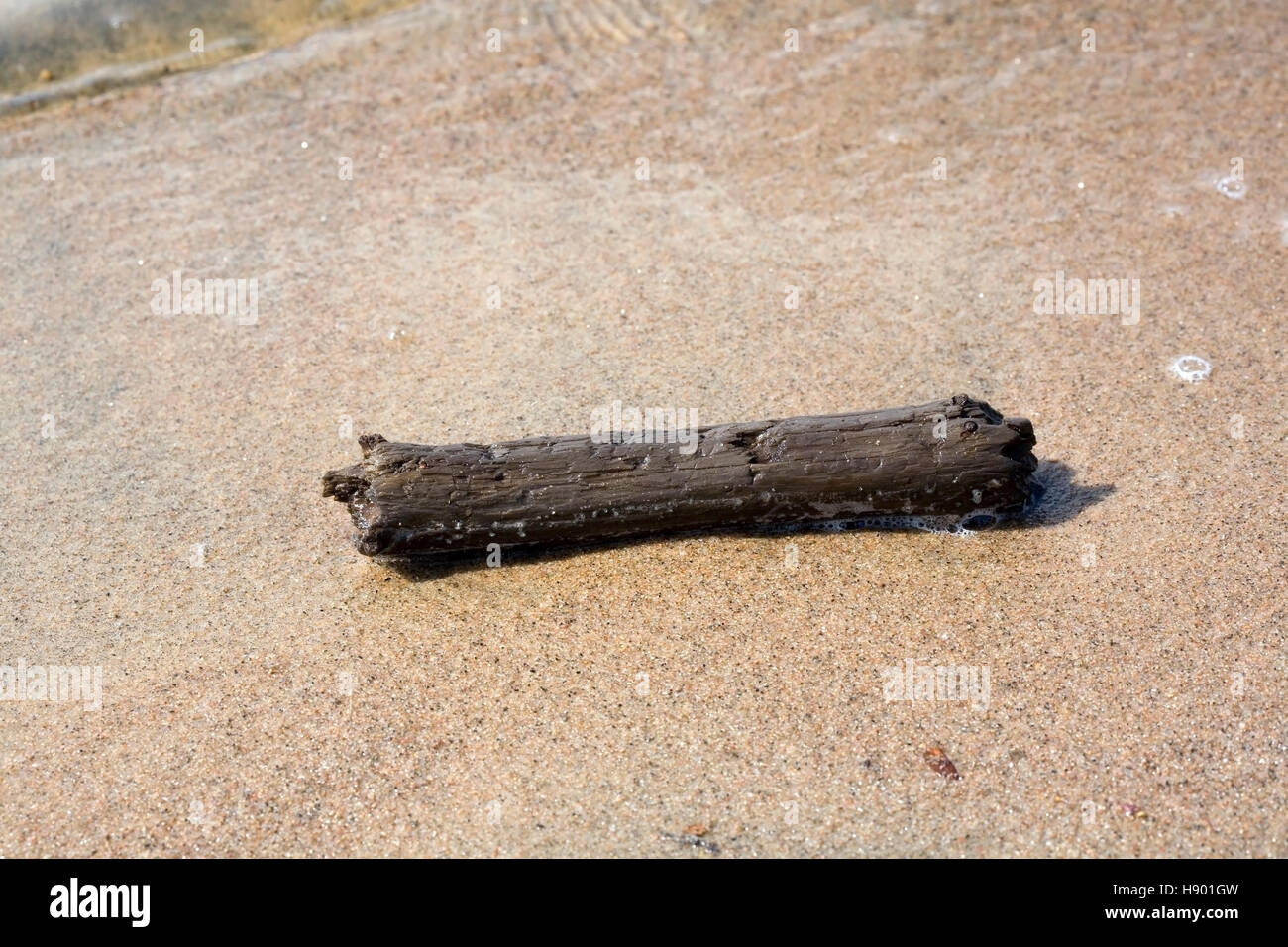 Piece wood on shore hi-res stock photography and images - Alamy