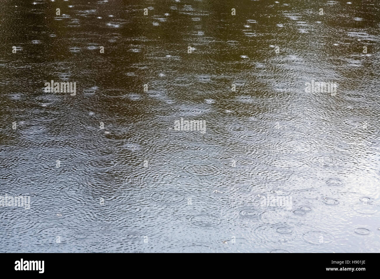 rain falling on lake Stock Photo - Alamy