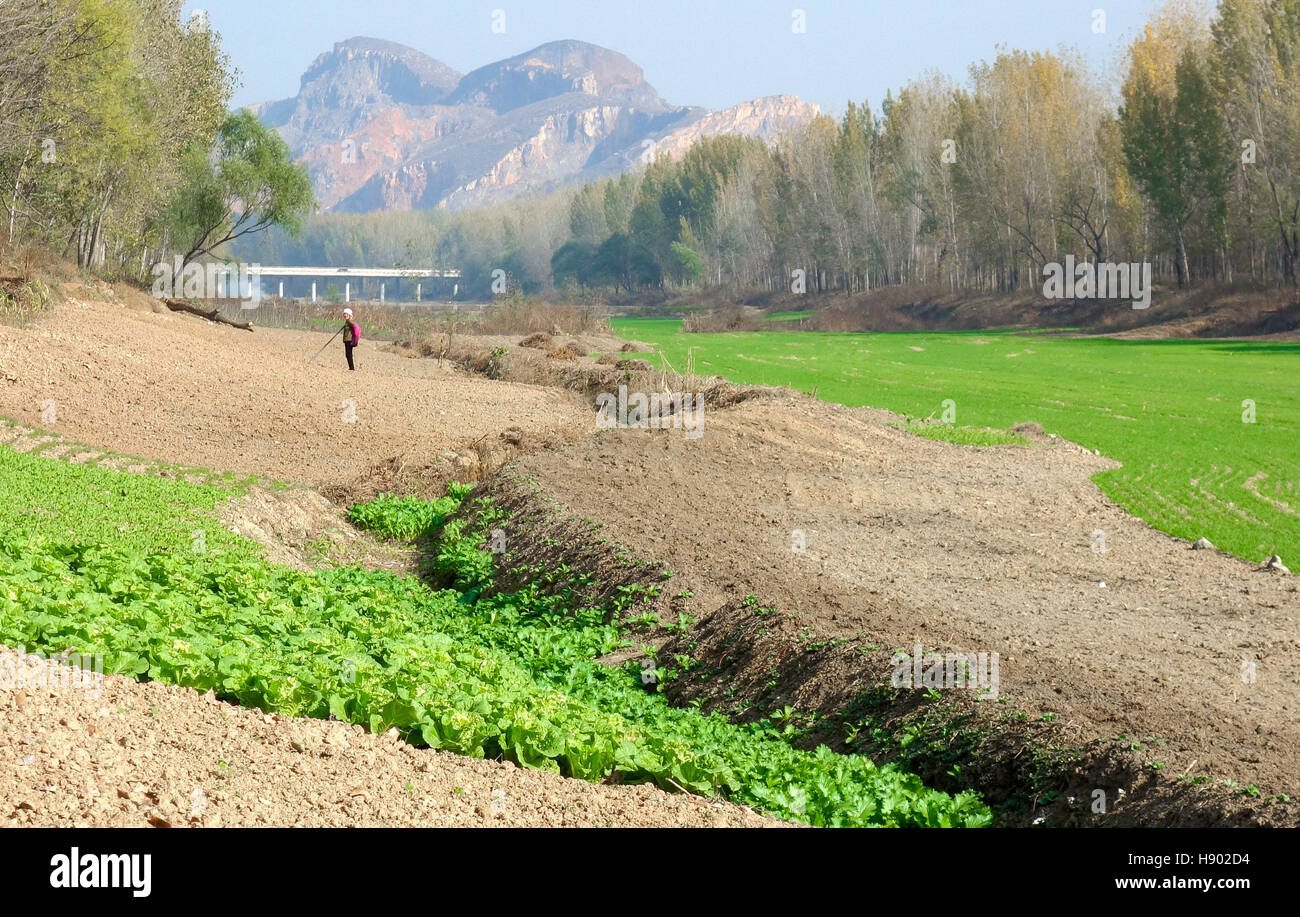 Suzhou, Suzhou, China. 16th Nov, 2016. The dry riverbed changed into ...