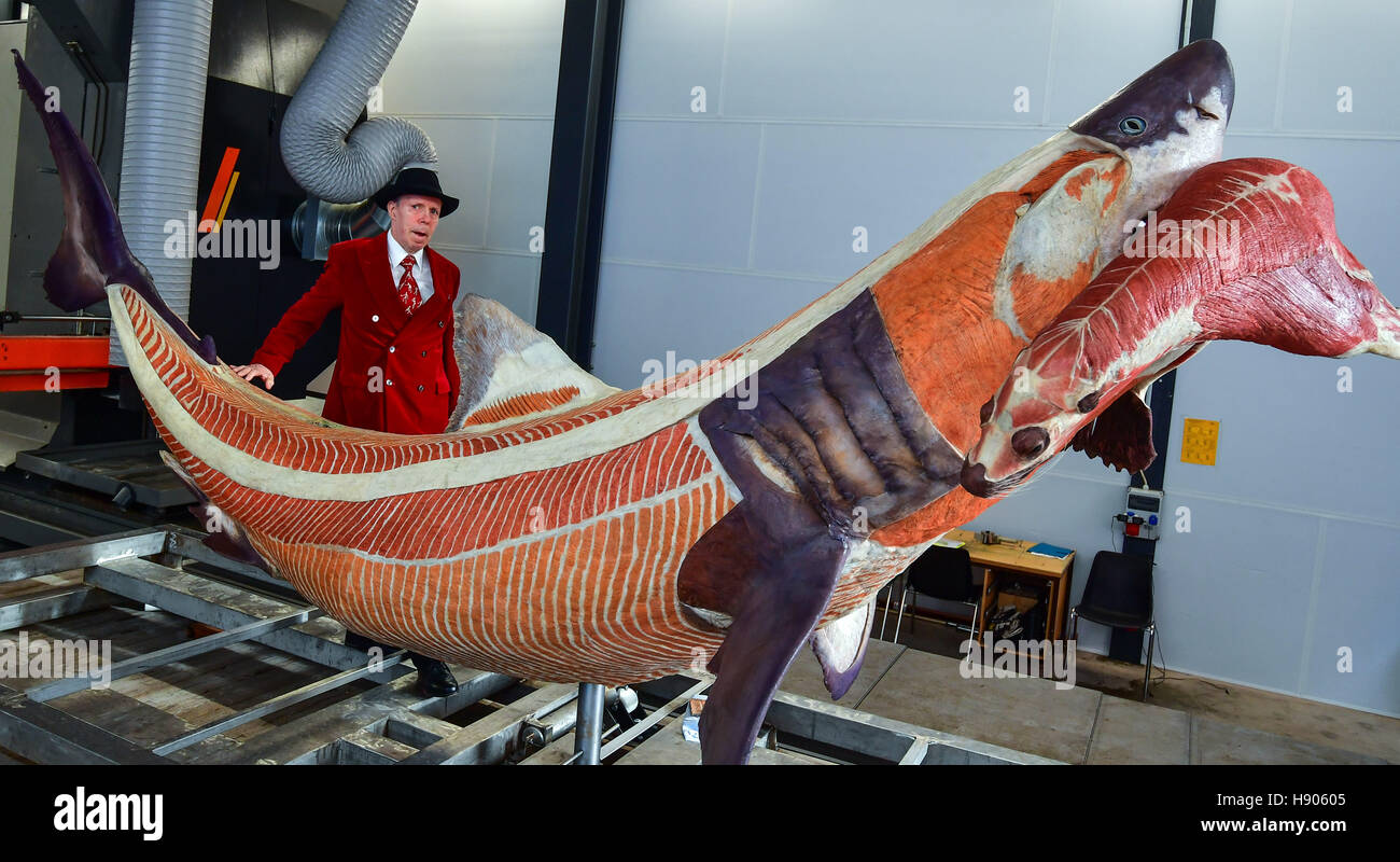 Plastination plastinated hi-res stock photography and images - Alamy