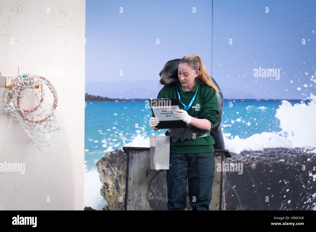 Whipsnade Zoo, Dunstable, UK. 10th January 2017. Thousands of animals ...