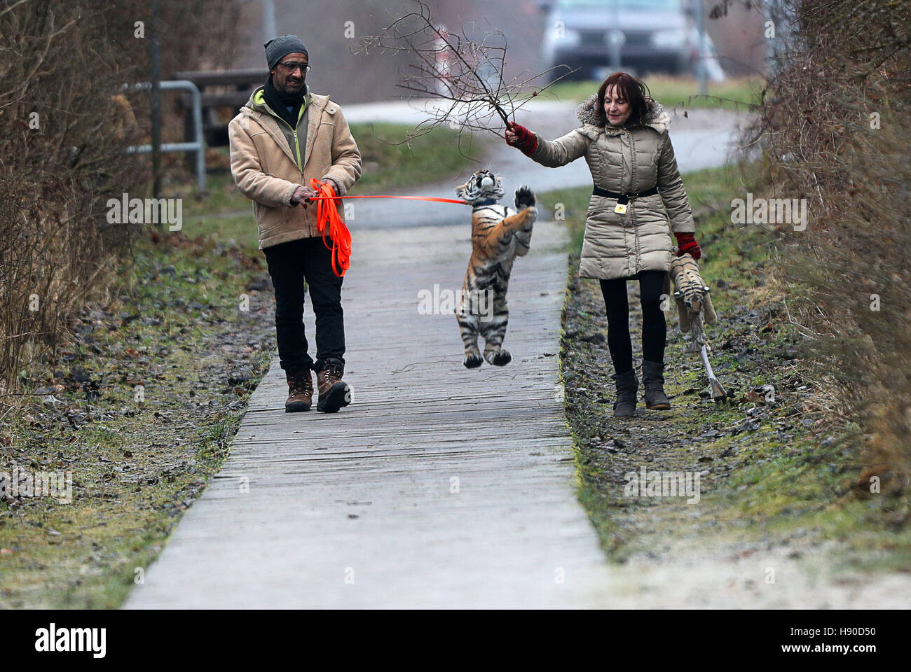 Dassow, Germany. 9th Jan, 2017. The cub's foster mother Monica Farell ...