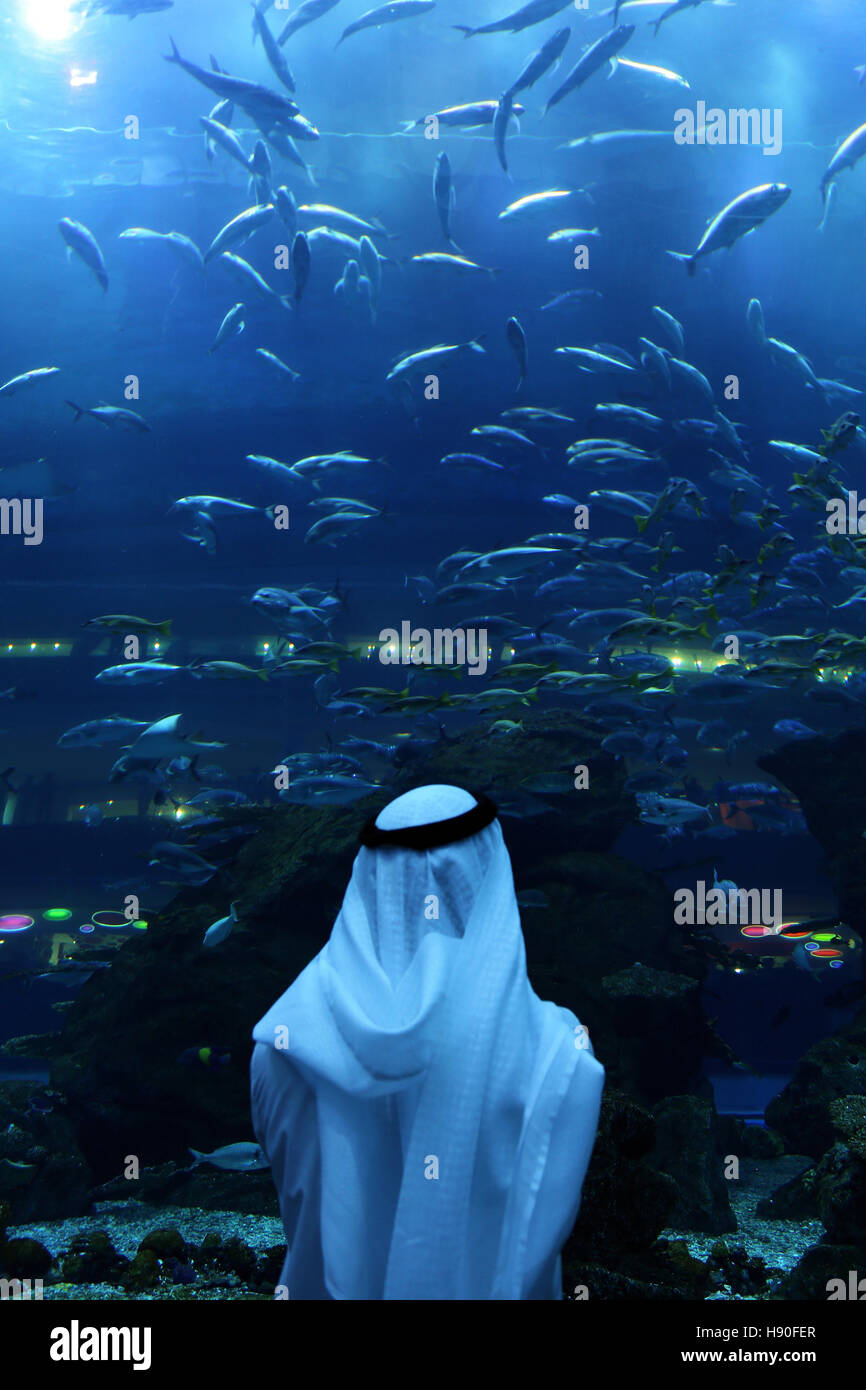 Sheikh in Dubai Mall ocean park, United Arab Emirates Stock Photo - Alamy