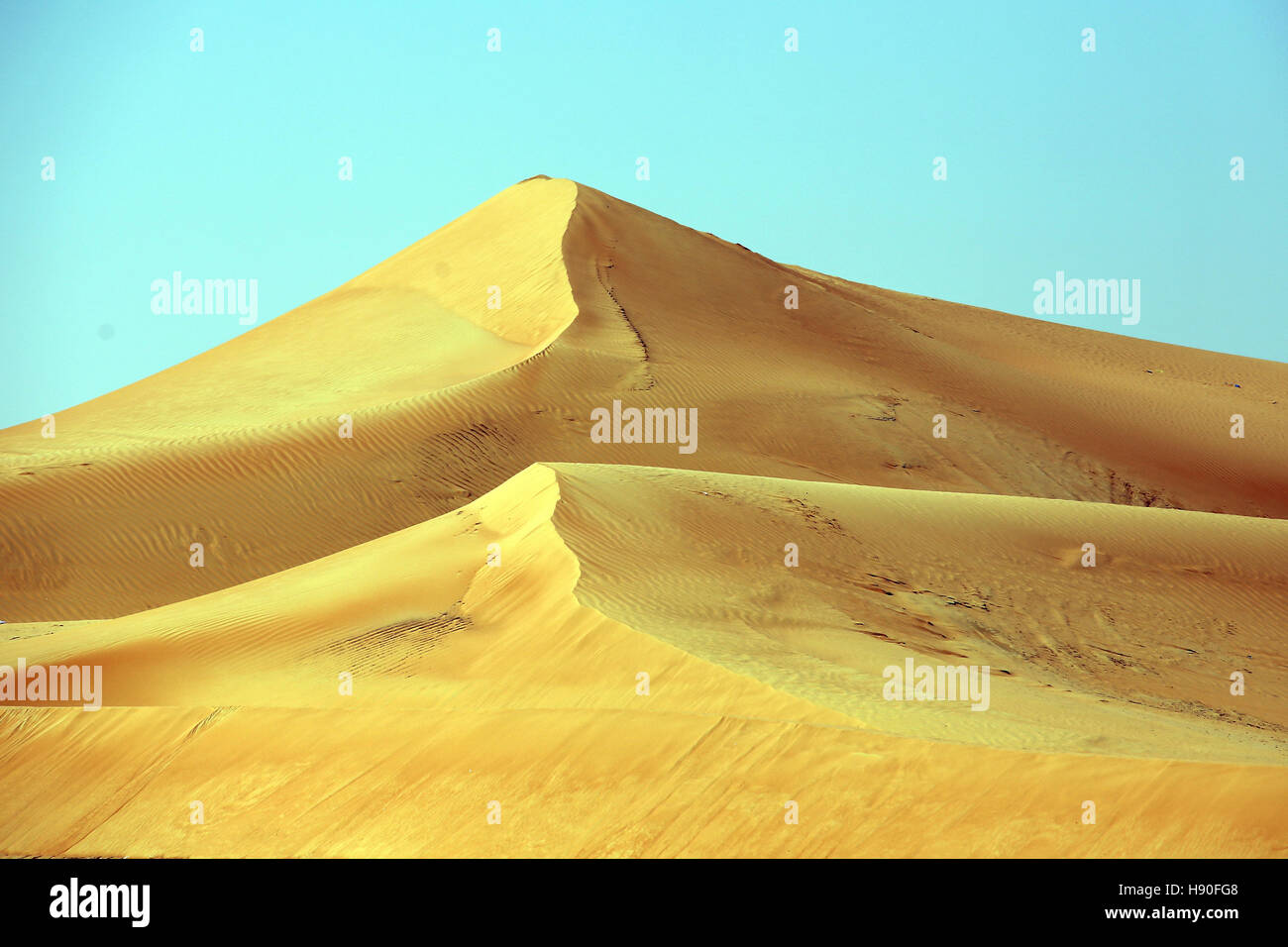 Sand dunes in United Arab Emirates Stock Photo - Alamy