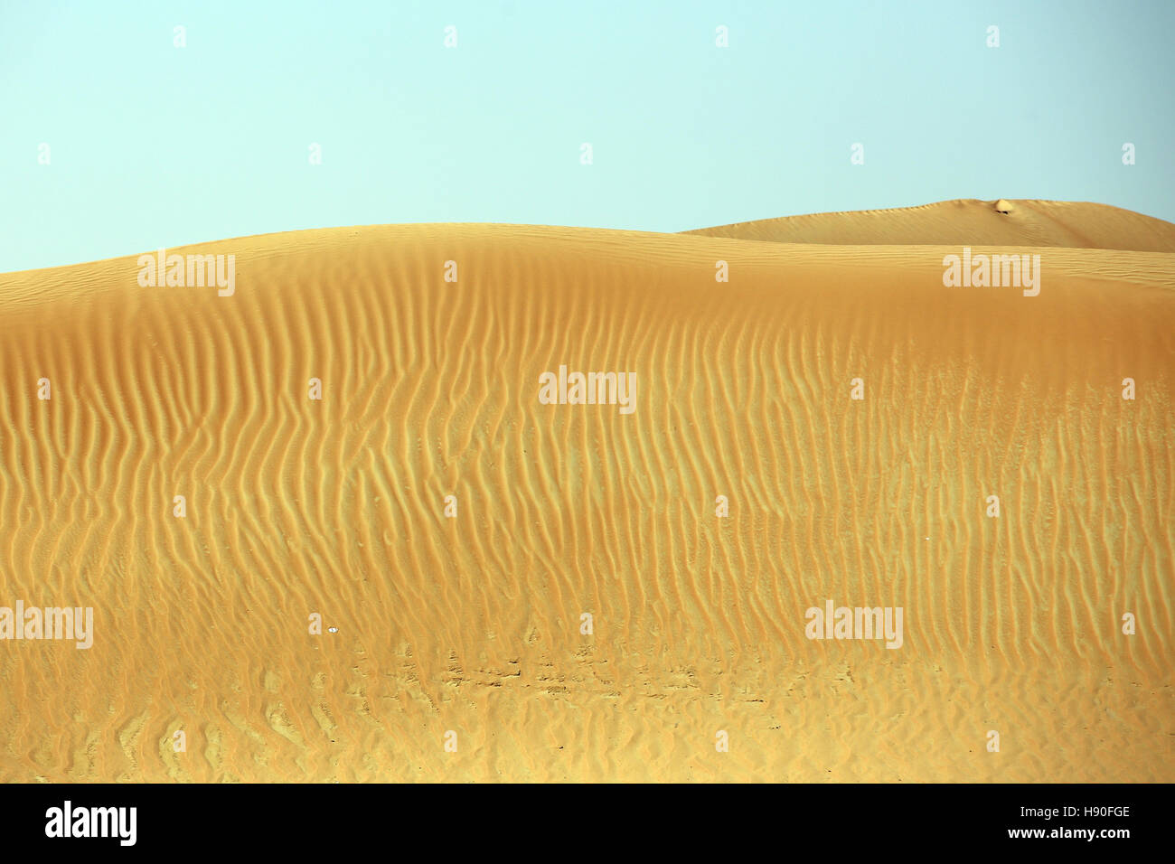 Sand dunes in United Arab Emirates Stock Photo - Alamy